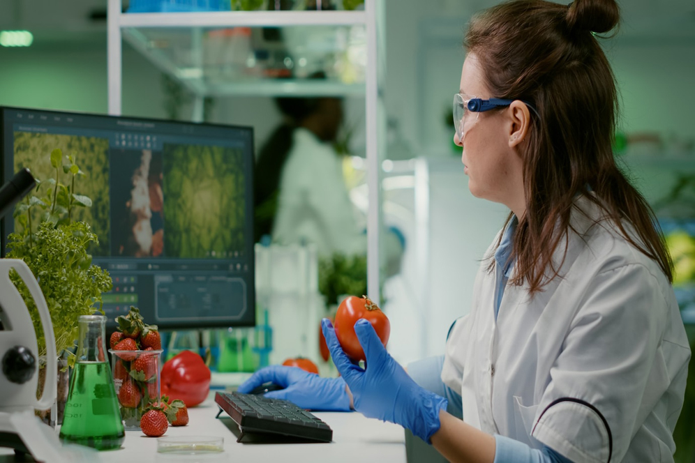 food safety and hygiene courses in-house & online training